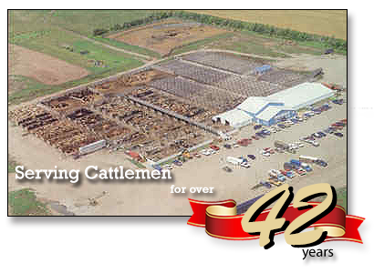 Herreid Livestock - Home of the Friday Sale. Sell your cattle the ...